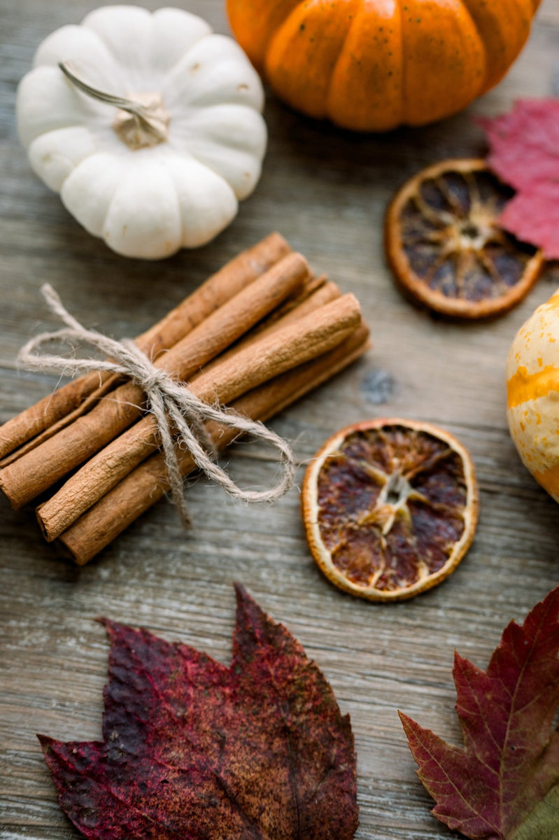 Harnessing the Power of Fall Equinox Rituals: A Guide for Modern Witch ...